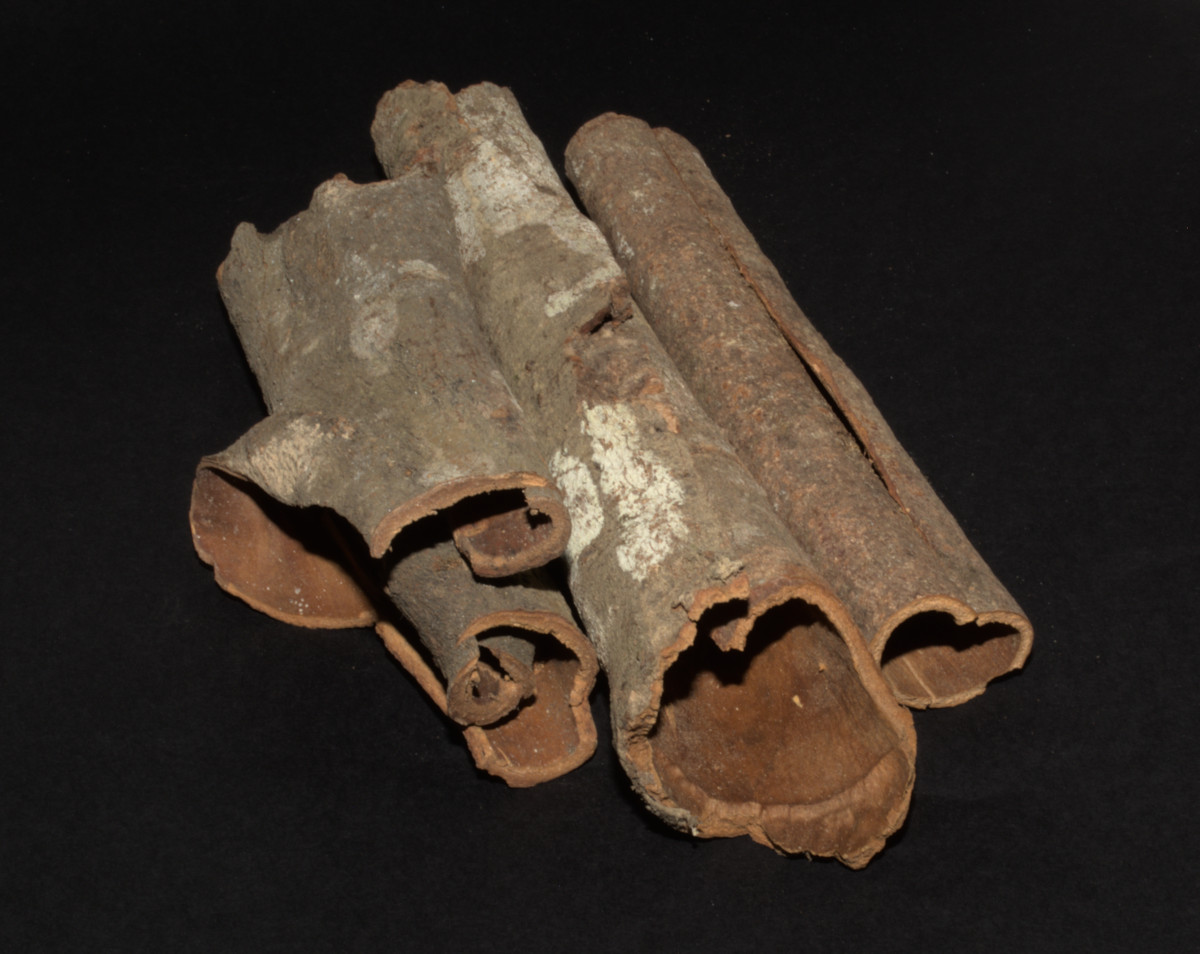 Kaneli kiinalaisessa lääketieteessä – Kiinalainen lääketiede ja akupunktio